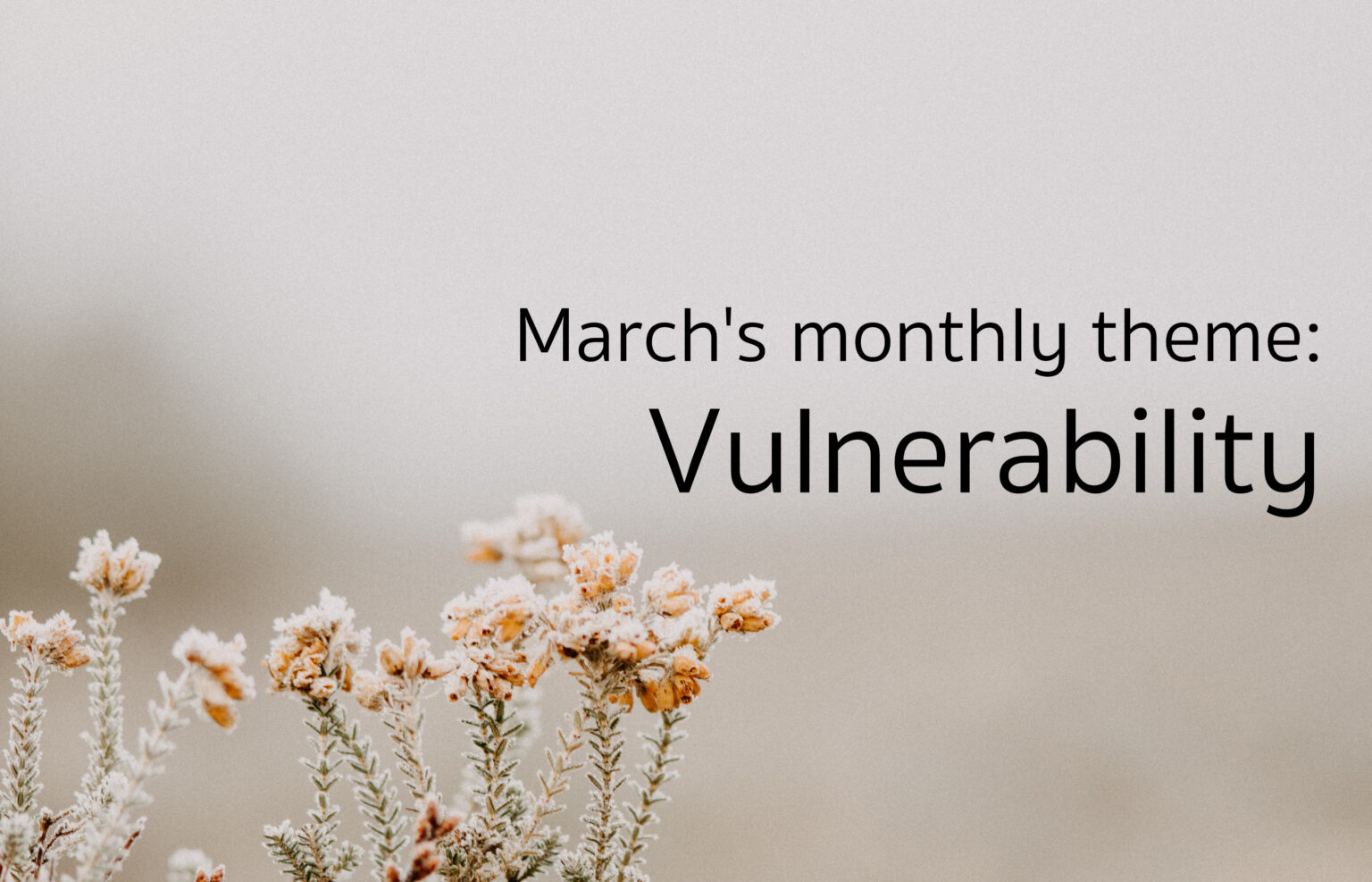 Home - First Unitarian Universalist Society of Burlington